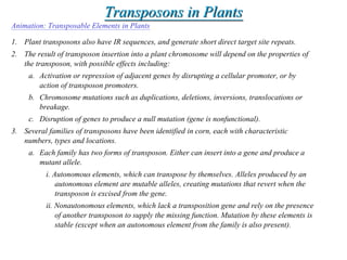 Transposable elements & Transposon mutagenesis | PPTX