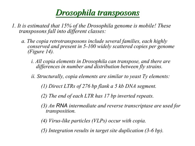 Transposable elements & Transposon mutagenesis | PPT