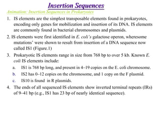 Transposable elements & Transposon mutagenesis | PPTX
