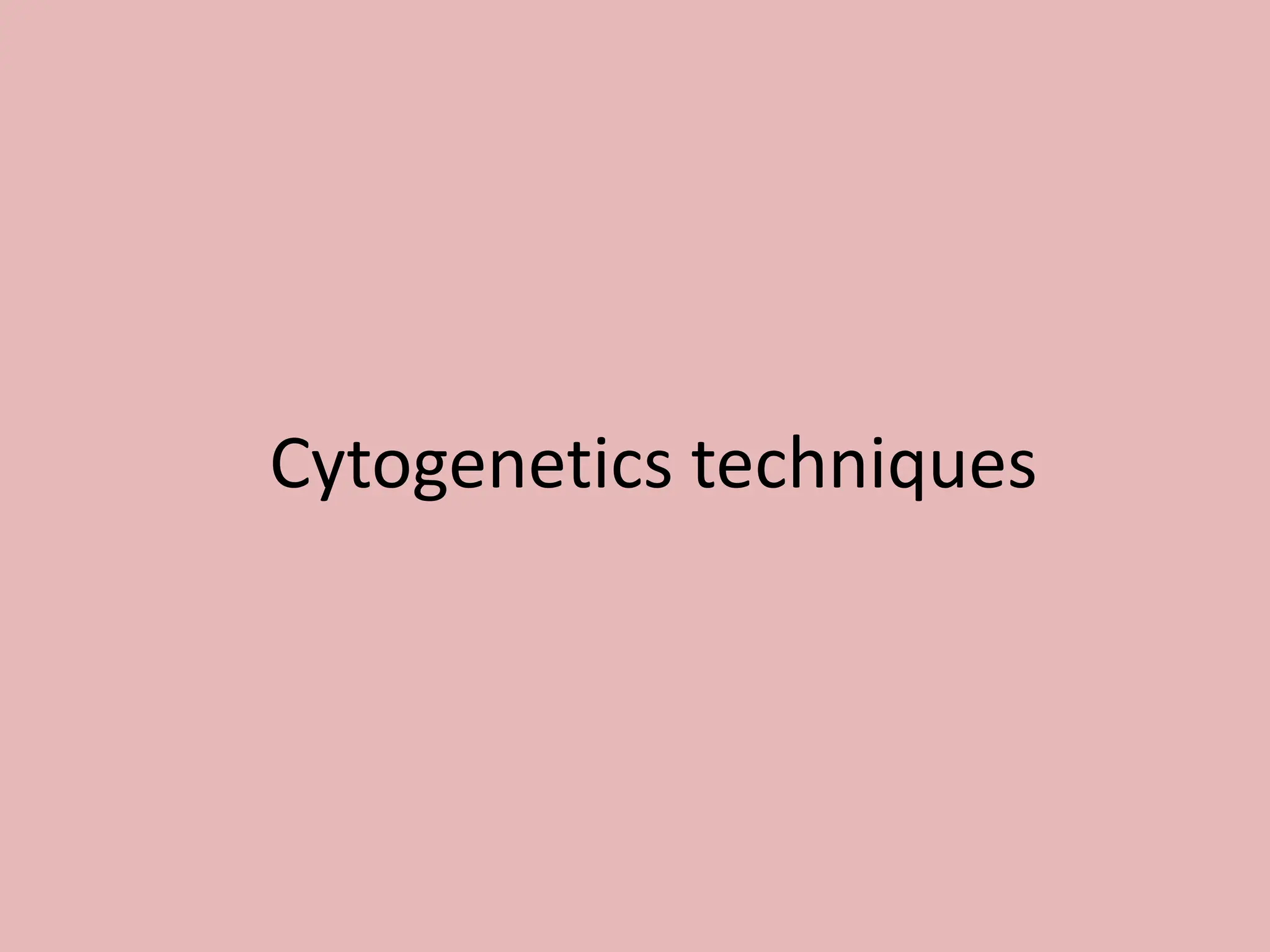 the basics of the cytogenetics techniques.ppt
