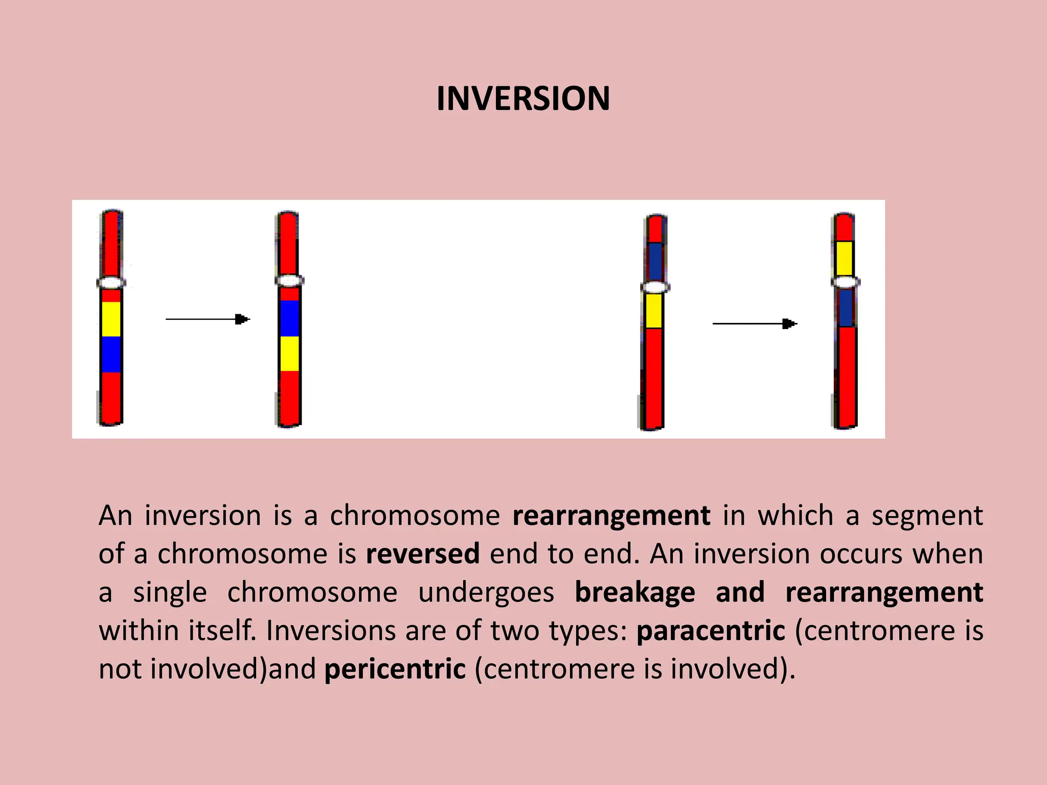 the basics of the cytogenetics techniques.ppt