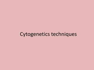 the basics of the cytogenetics techniques.ppt