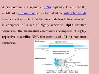 the basics of the cytogenetics techniques.ppt