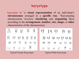 the basics of the cytogenetics techniques.ppt