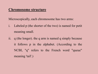the basics of the cytogenetics techniques.ppt