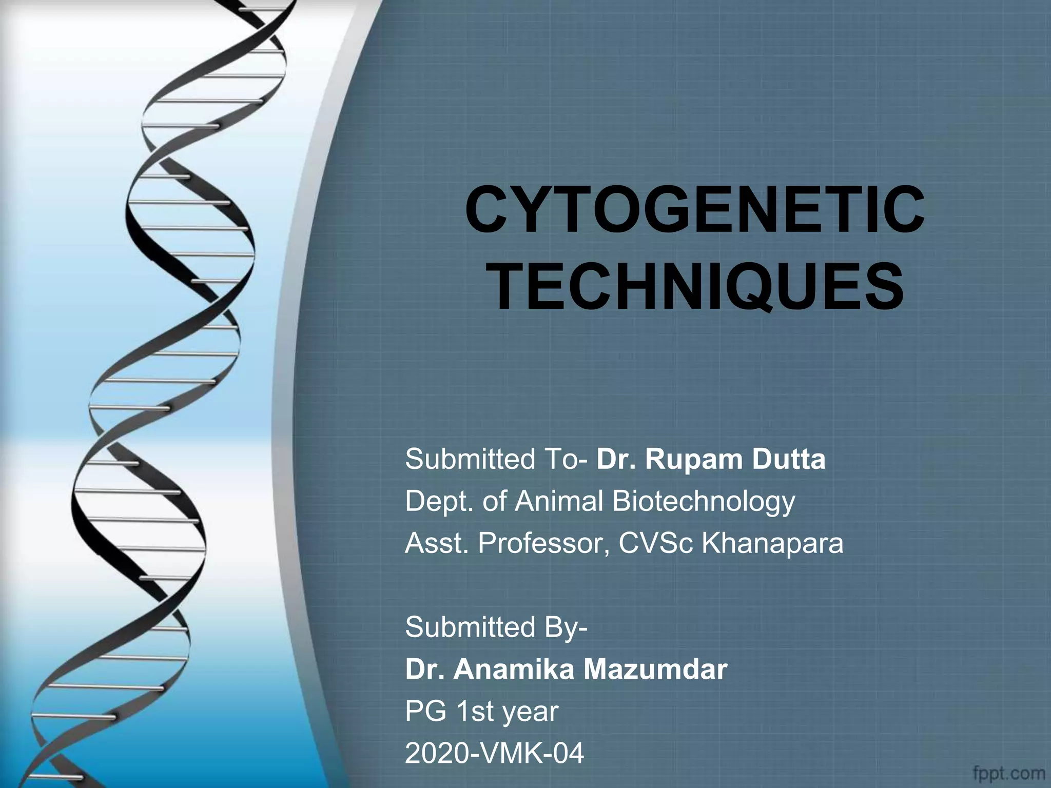 Cytogenetic techniques | PPT