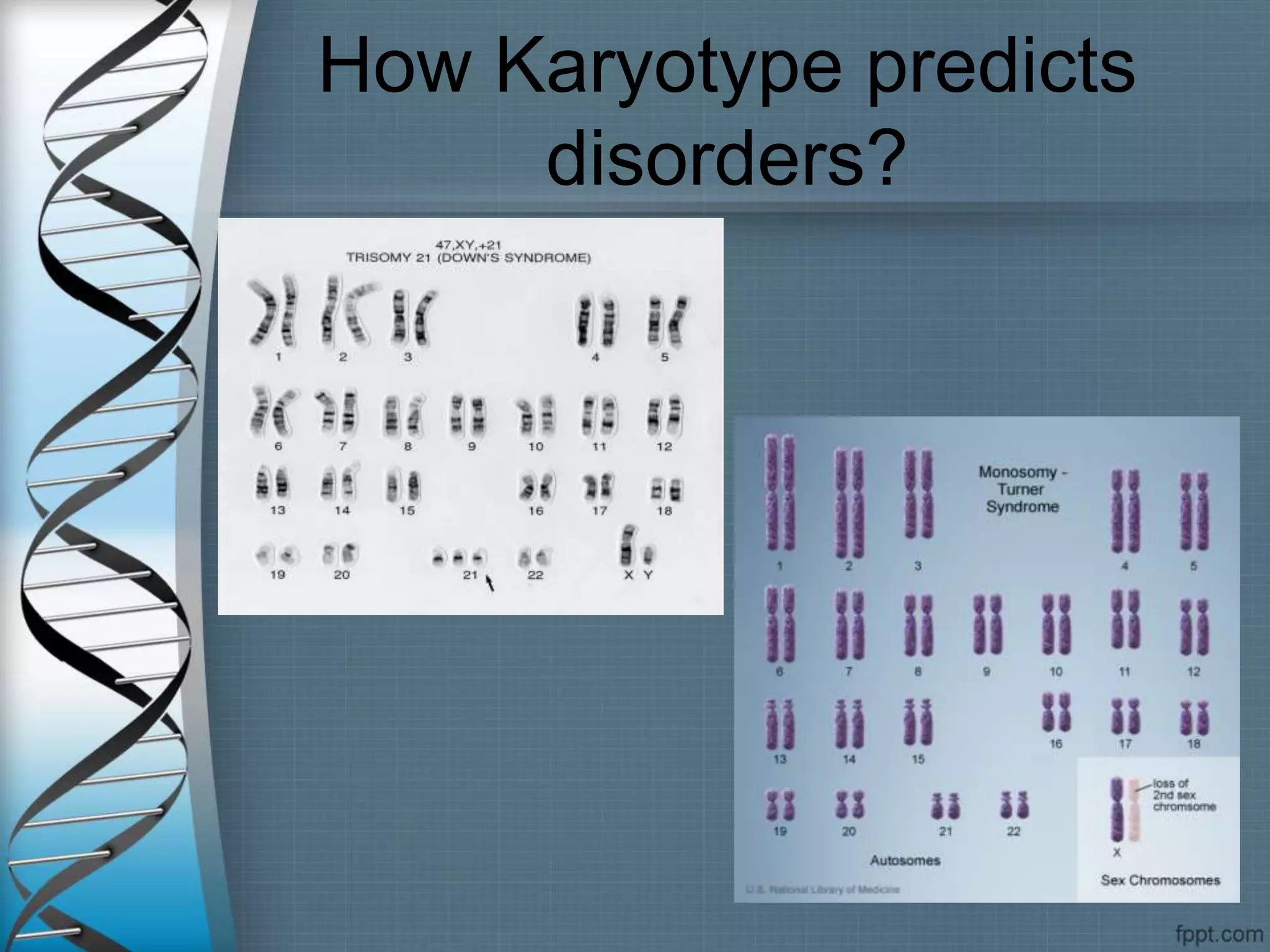 Cytogenetic techniques | PPT