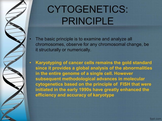 Cytogenetic techniques | PPT | Genetics | Science