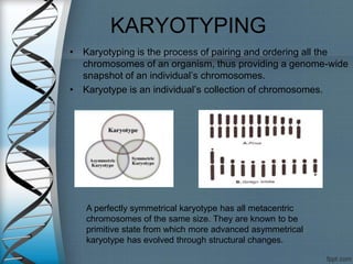 Cytogenetic techniques | PPT