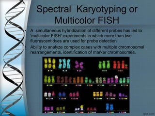 Cytogenetic techniques | PPT