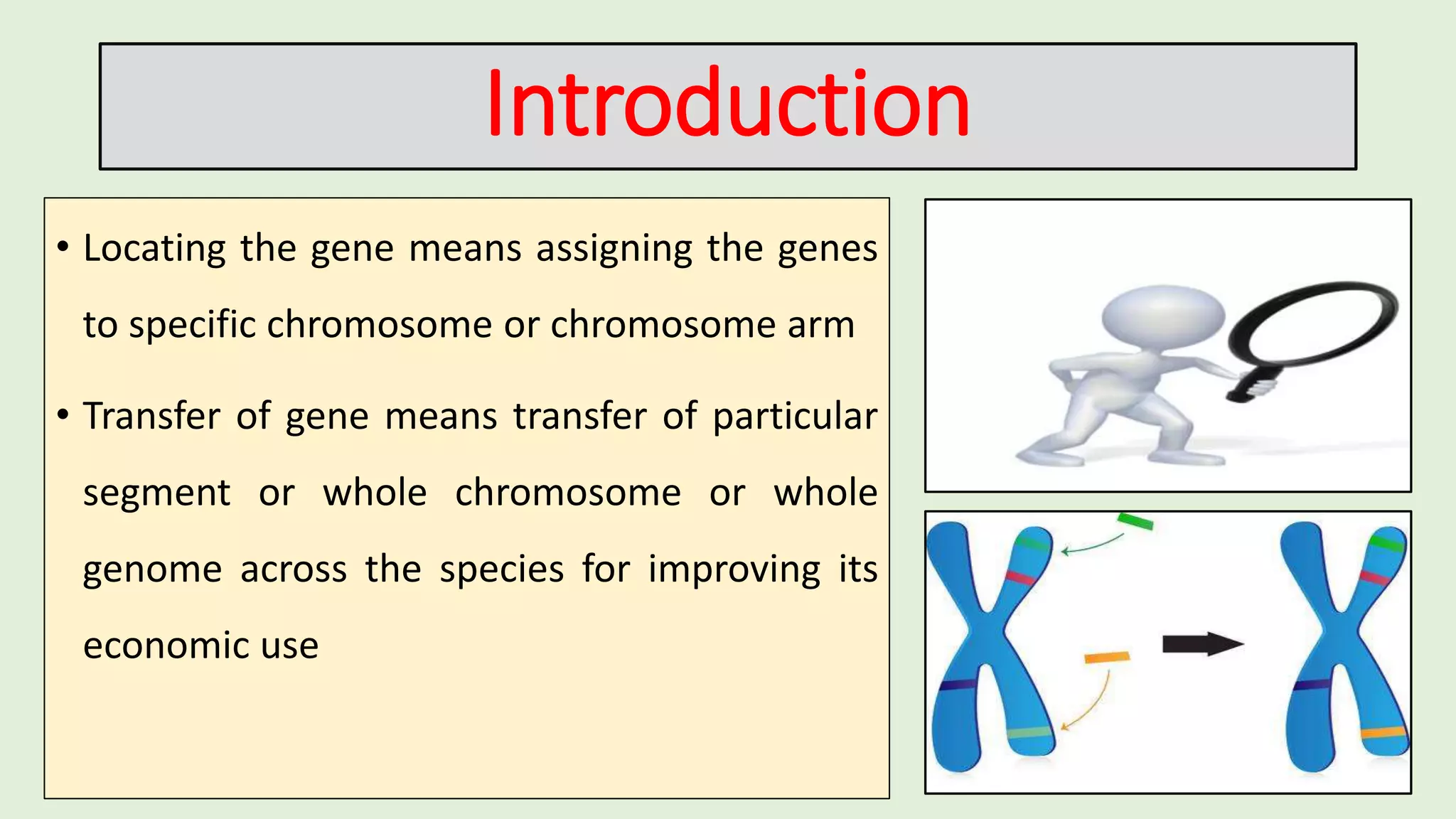 Cytogenetic techniques for gene location and transfer | PPTX