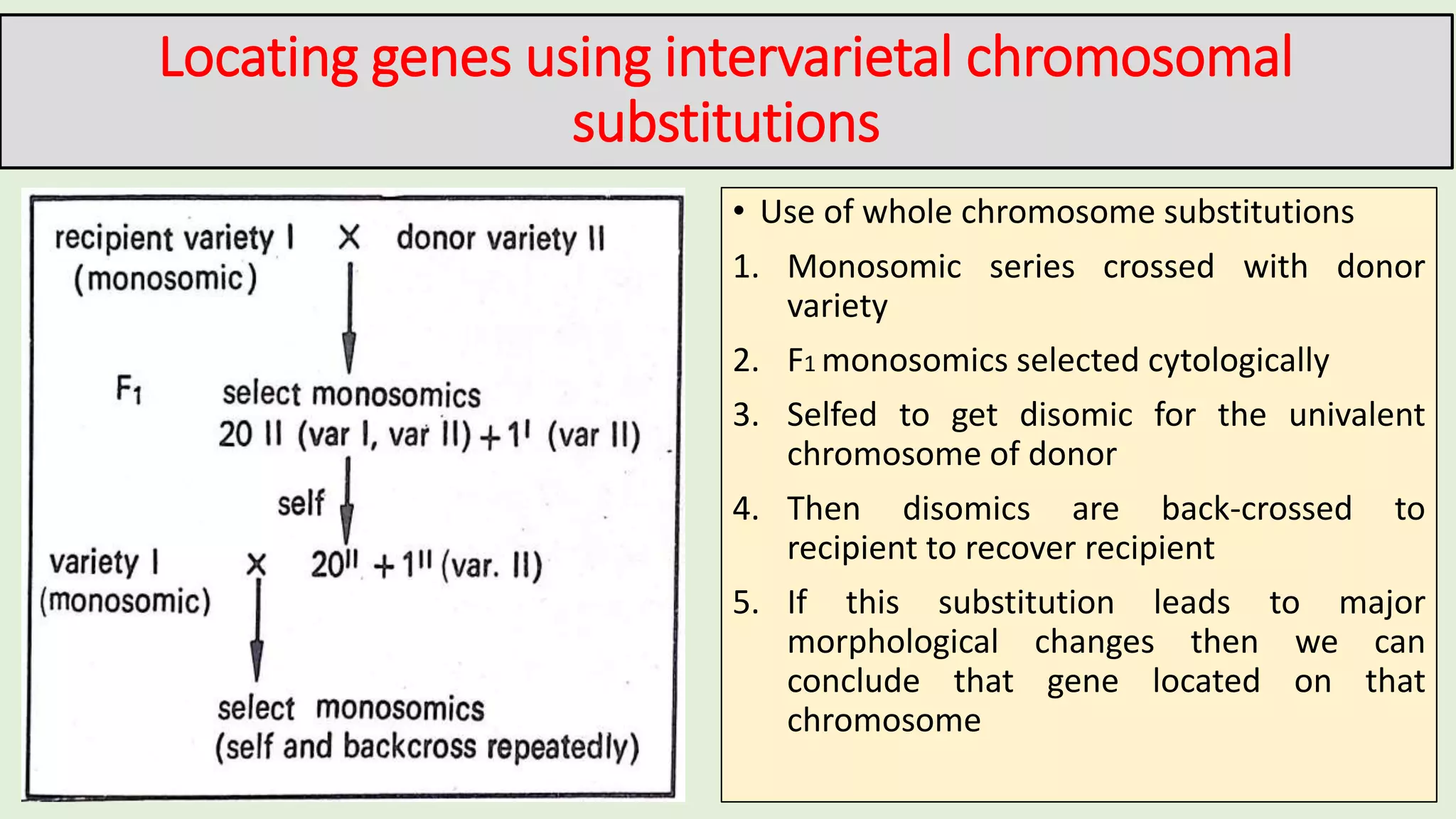 Cytogenetic techniques for gene location and transfer | PPTX