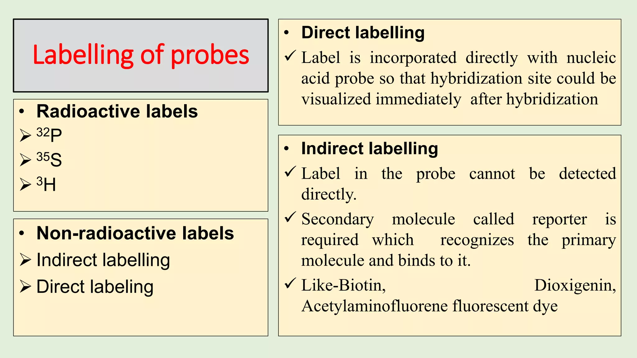 Cytogenetic techniques for gene location and transfer | PPTX