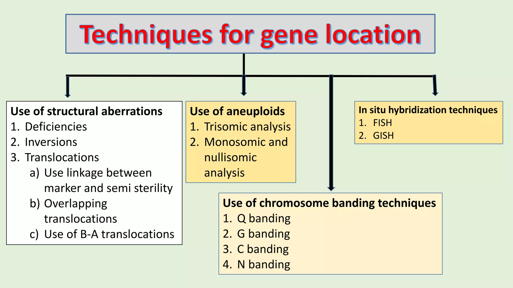 Cytogenetic techniques for gene location and transfer | PPTX