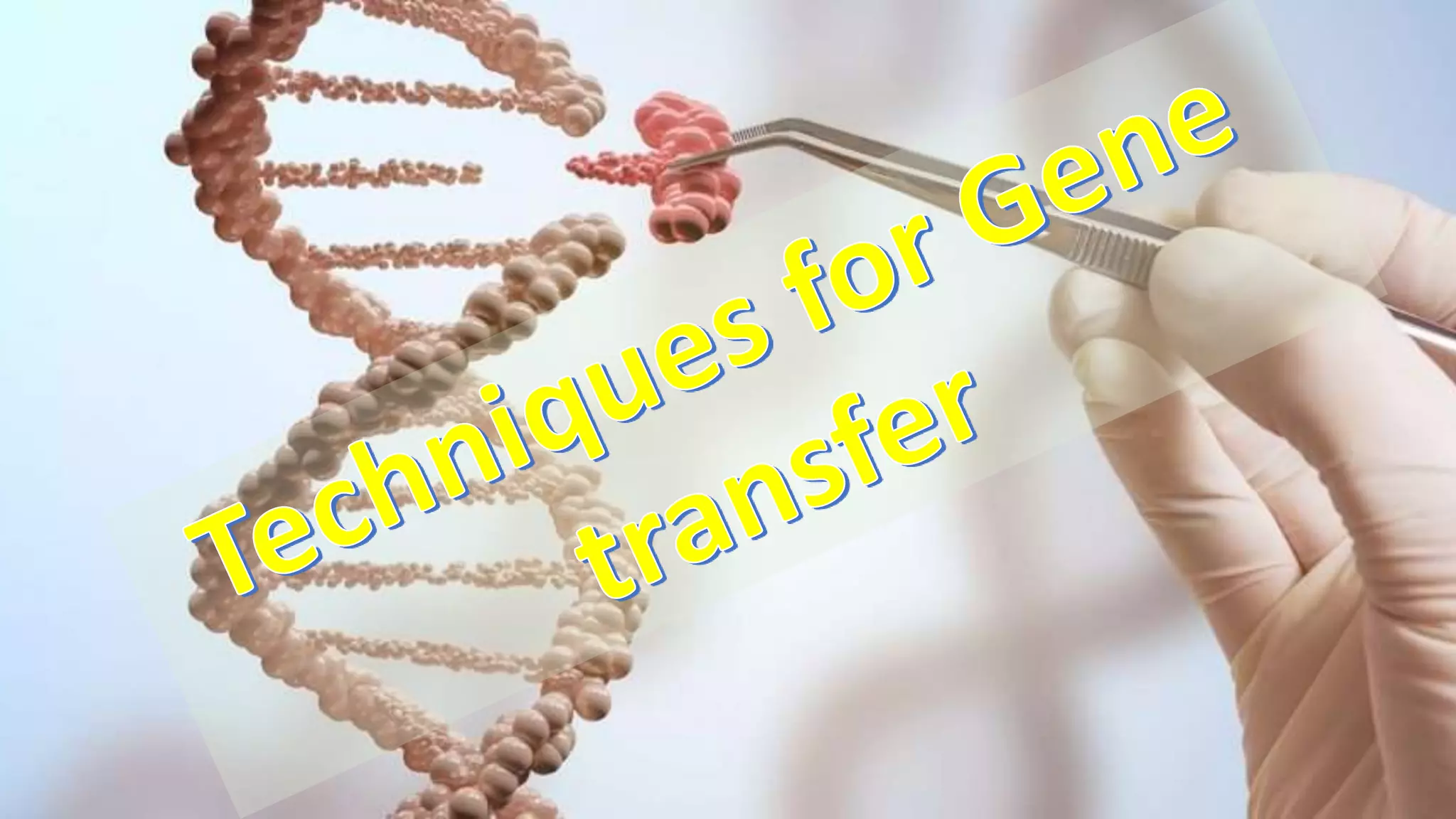 Cytogenetic techniques for gene location and transfer | PPTX