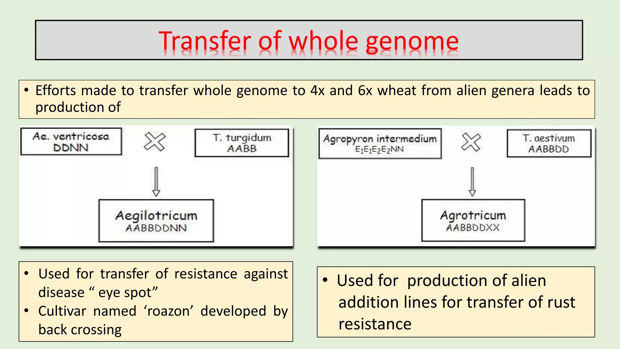 Cytogenetic techniques for gene location and transfer | PPTX