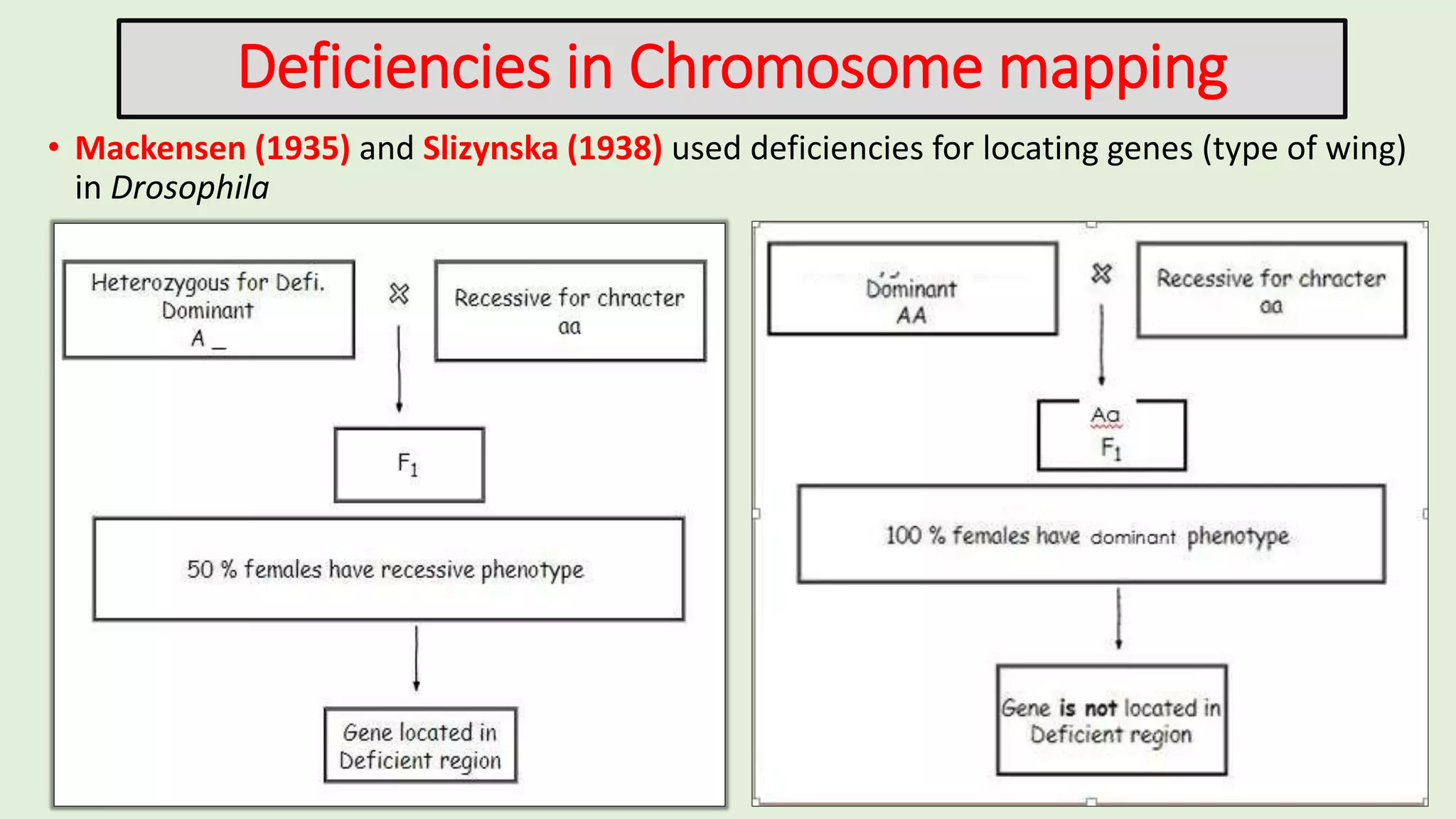 Cytogenetic techniques for gene location and transfer | PPTX