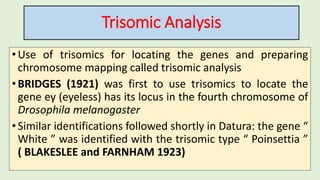 Cytogenetic techniques for gene location and transfer | PPTX