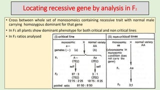 Cytogenetic techniques for gene location and transfer | PPTX