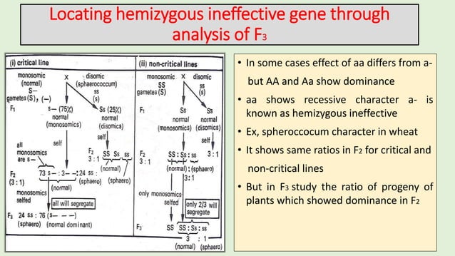 Cytogenetic techniques for gene location and transfer | PPTX