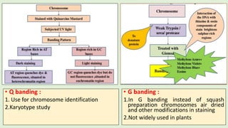 Cytogenetic techniques for gene location and transfer | PPTX