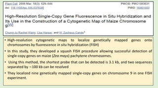 Cytogenetic techniques for gene location and transfer | PPTX