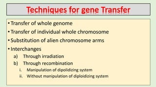 Cytogenetic techniques for gene location and transfer | PPTX