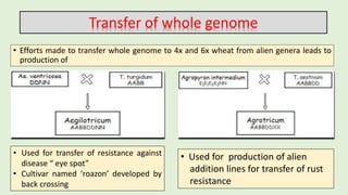 Cytogenetic techniques for gene location and transfer | PPTX
