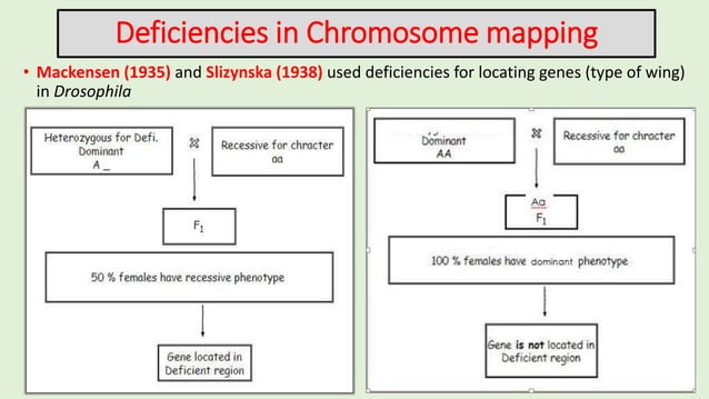 Cytogenetic techniques for gene location and transfer | PPTX