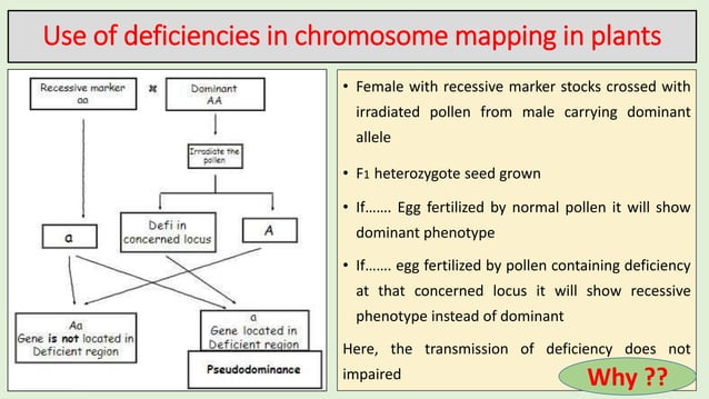 Cytogenetic techniques for gene location and transfer | PPTX
