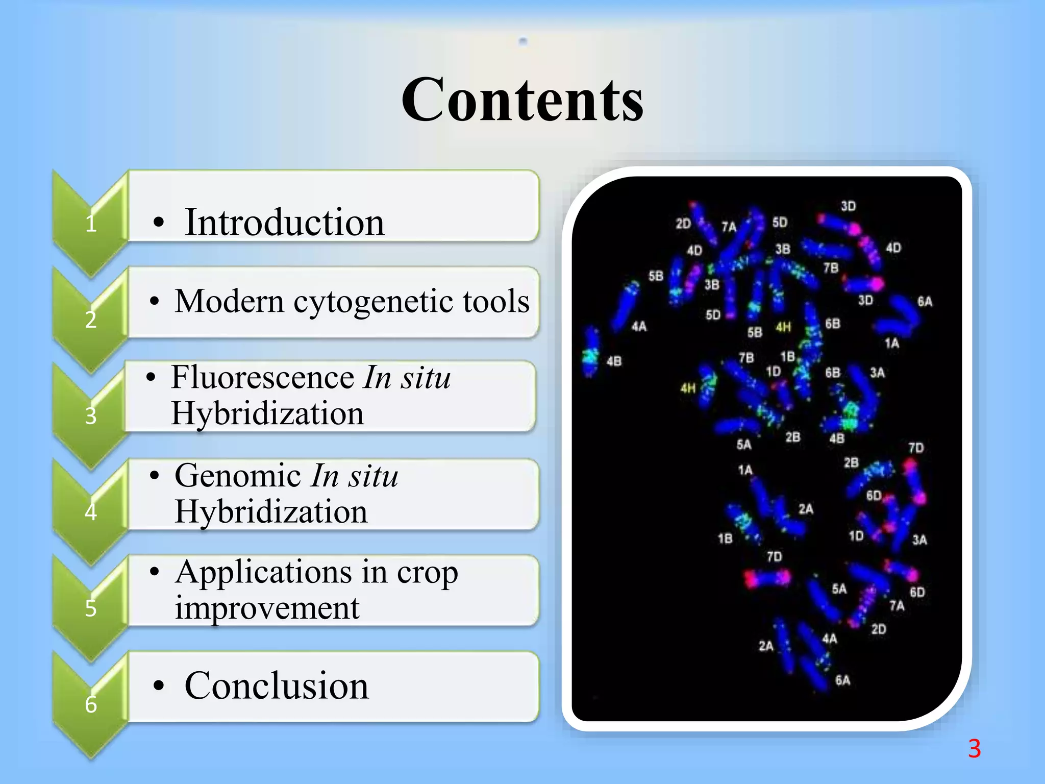Modern cytogenetic tools in crop improvement | PPTX