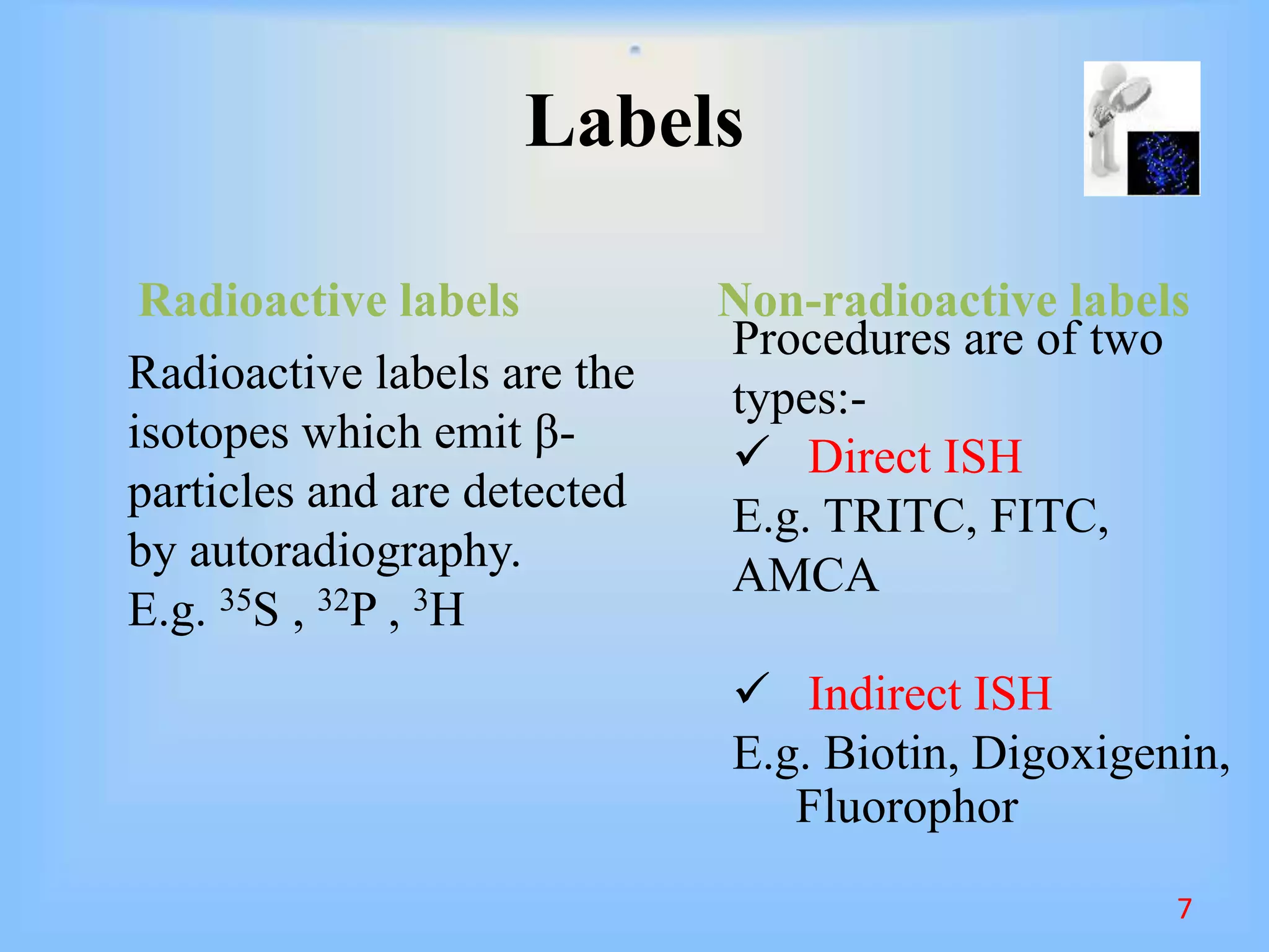 Modern cytogenetic tools in crop improvement | PPTX