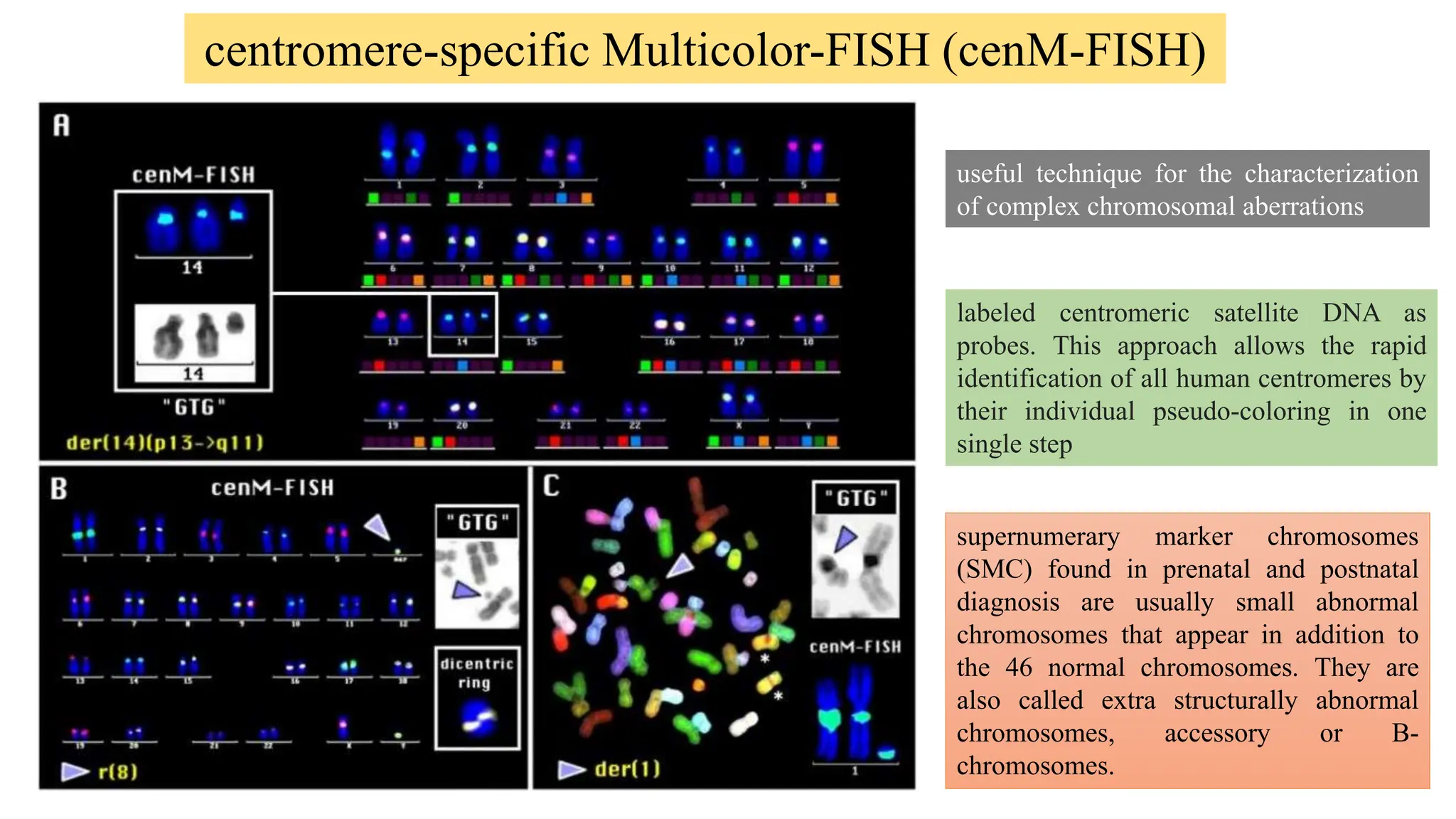 cytogenomics tools and techniques and chromosome sorting.pptx