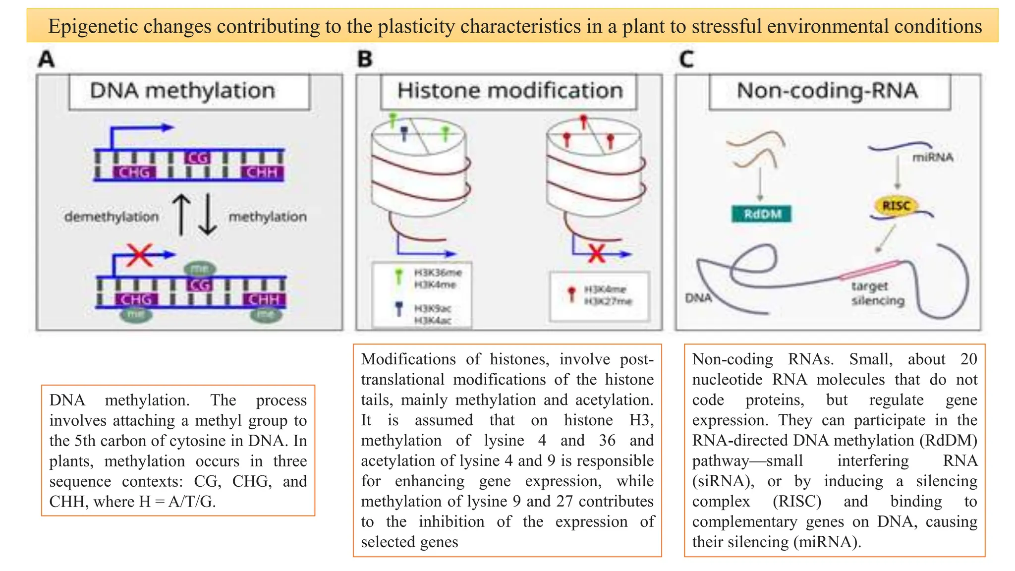 Cytogenomics Tools And Techniques And Chromosome Sorting Pptx