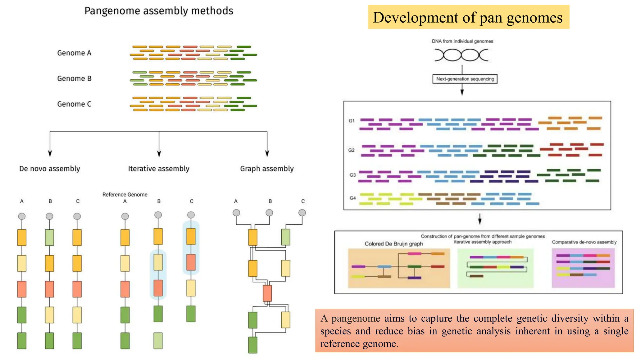 Cytogenomics Tools And Techniques And Chromosome Sorting Pptx