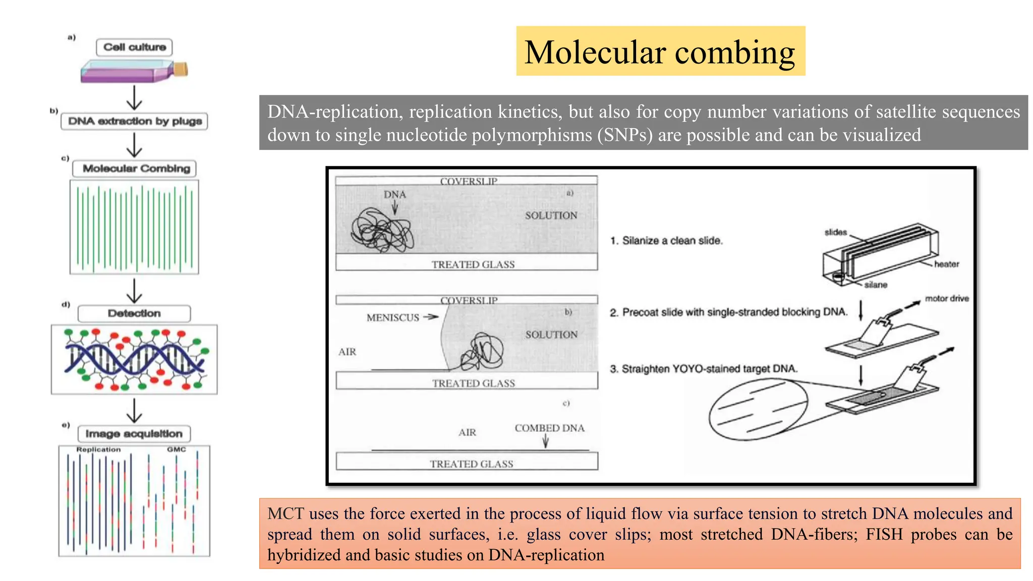 cytogenomics tools and techniques and chromosome sorting.pptx