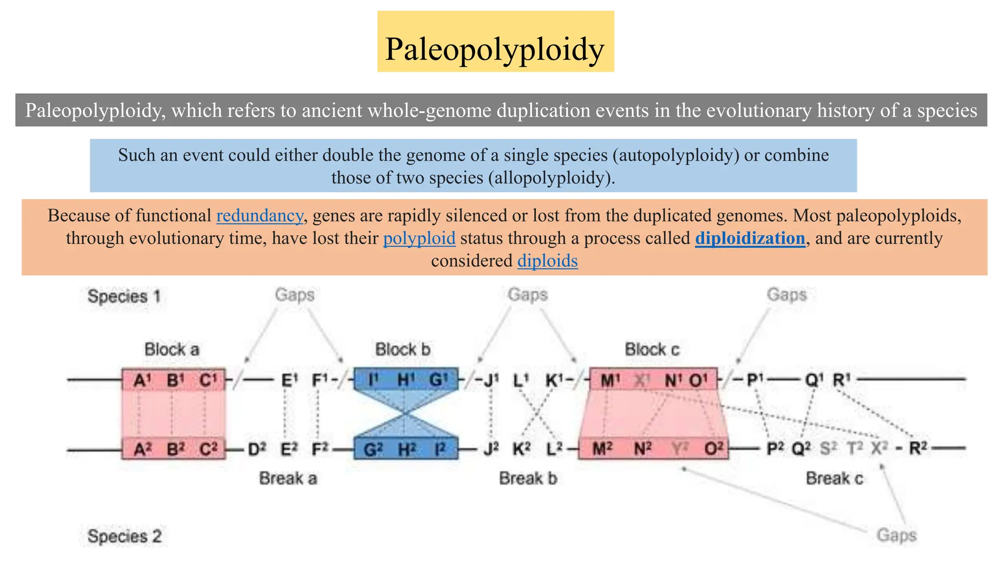 Cytogenomics Tools And Techniques And Chromosome Sorting Pptx