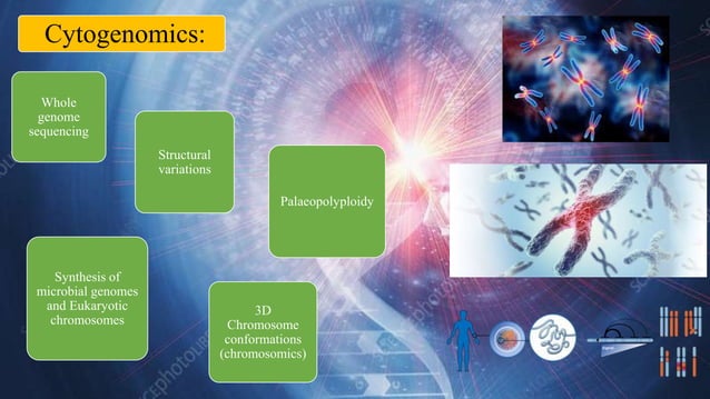 cytogenomics tools and techniques and chromosome sorting.pptx