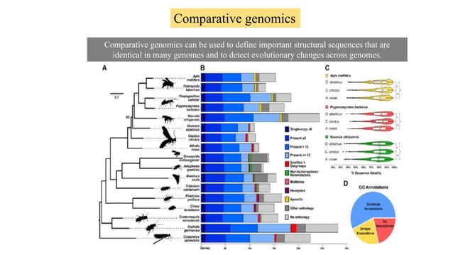 cytogenomics tools and techniques and chromosome sorting.pptx