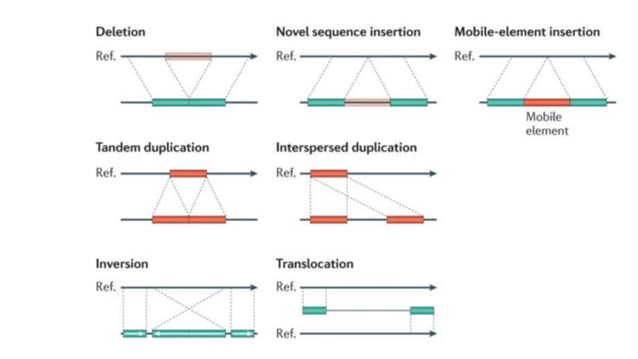 cytogenomics tools and techniques and chromosome sorting.pptx