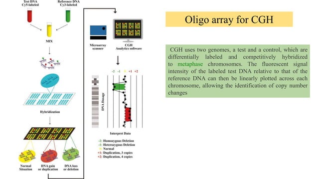 cytogenomics tools and techniques and chromosome sorting.pptx