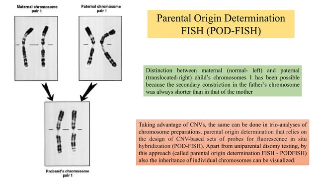 Cytogenomics Tools And Techniques And Chromosome Sorting Pptx