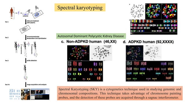 Cytogenomics Tools And Techniques And Chromosome Sorting Pptx