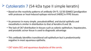 Cytokeratins and their importance's in pathology | PPTX
