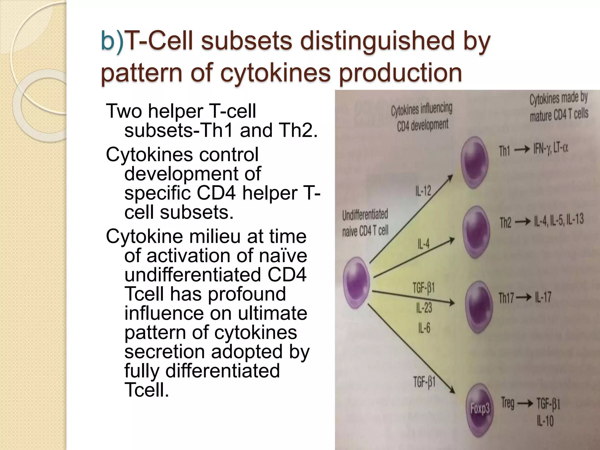 Cytokine and chemokines ppt | PPTX