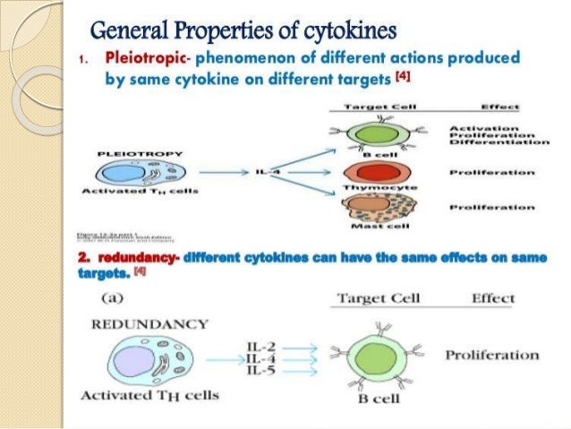Cytokine and chemokines ppt