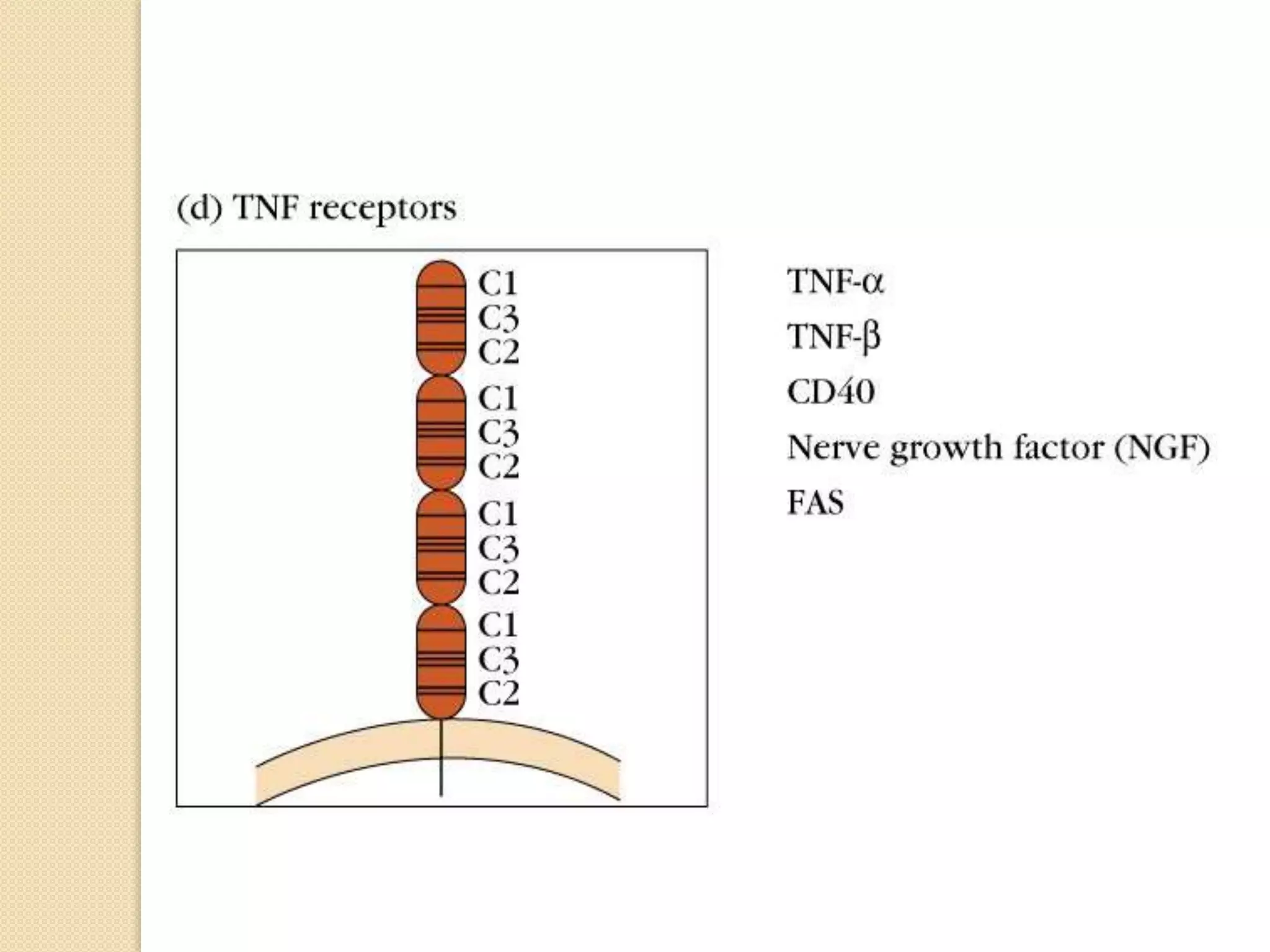 Cytokine receptors KOMAL ppt | PPTX