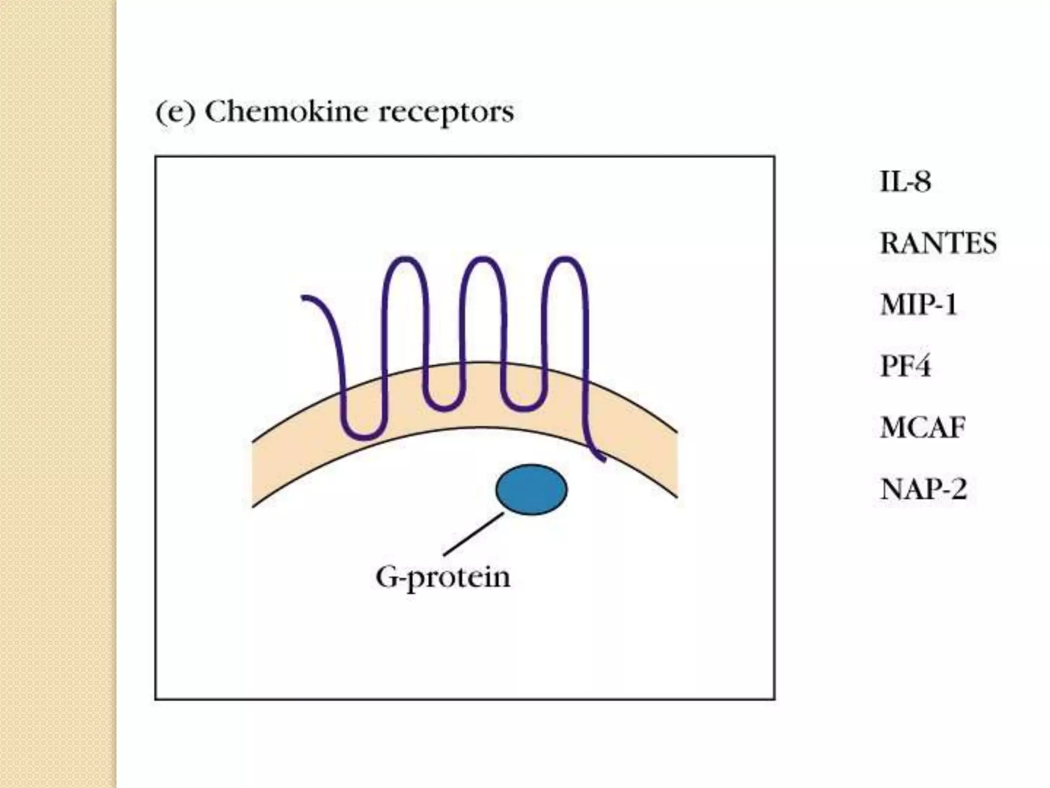 Cytokine receptors KOMAL ppt | PPTX