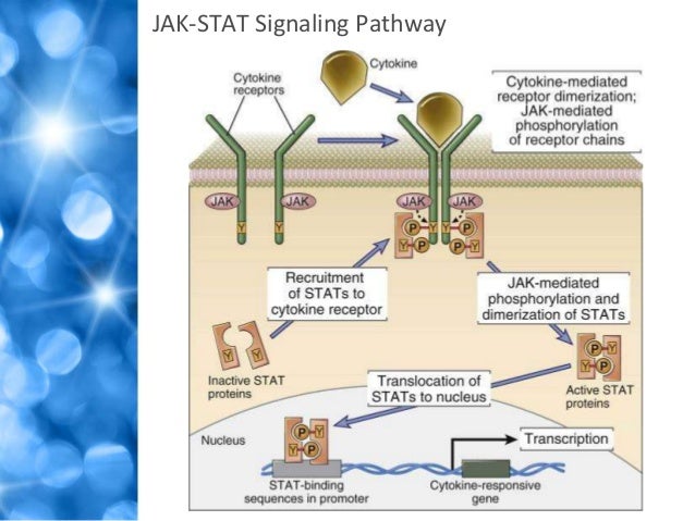 Cytokine Receptors, Mohammad Mufarreh Ali