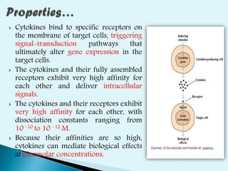 cytokines-131118235323-phpapp01.pdf